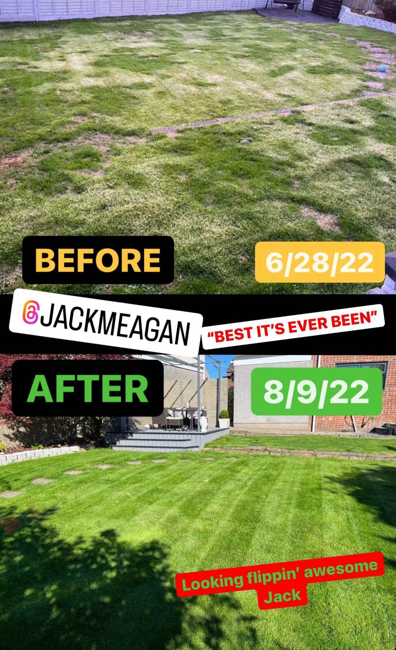 Video Lawn Consultation – DIY Grass Care