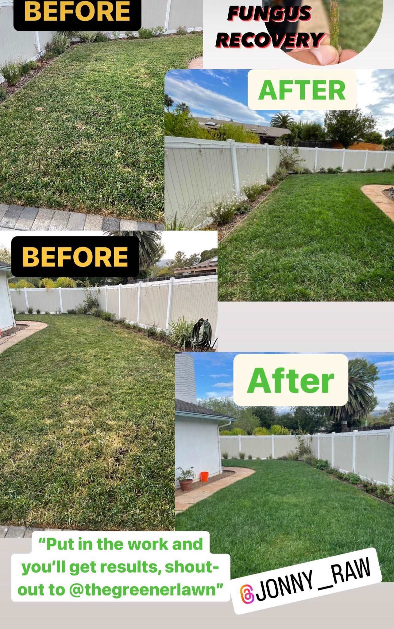 Video Lawn Consultation – DIY Grass Care